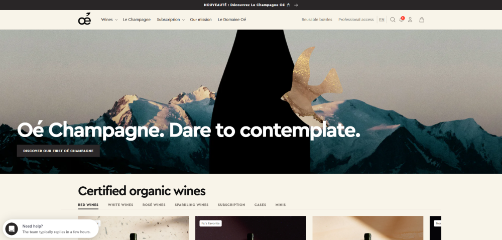 Top 10 Best eCommerce Website Design Examples for 2025 (Trendy ...